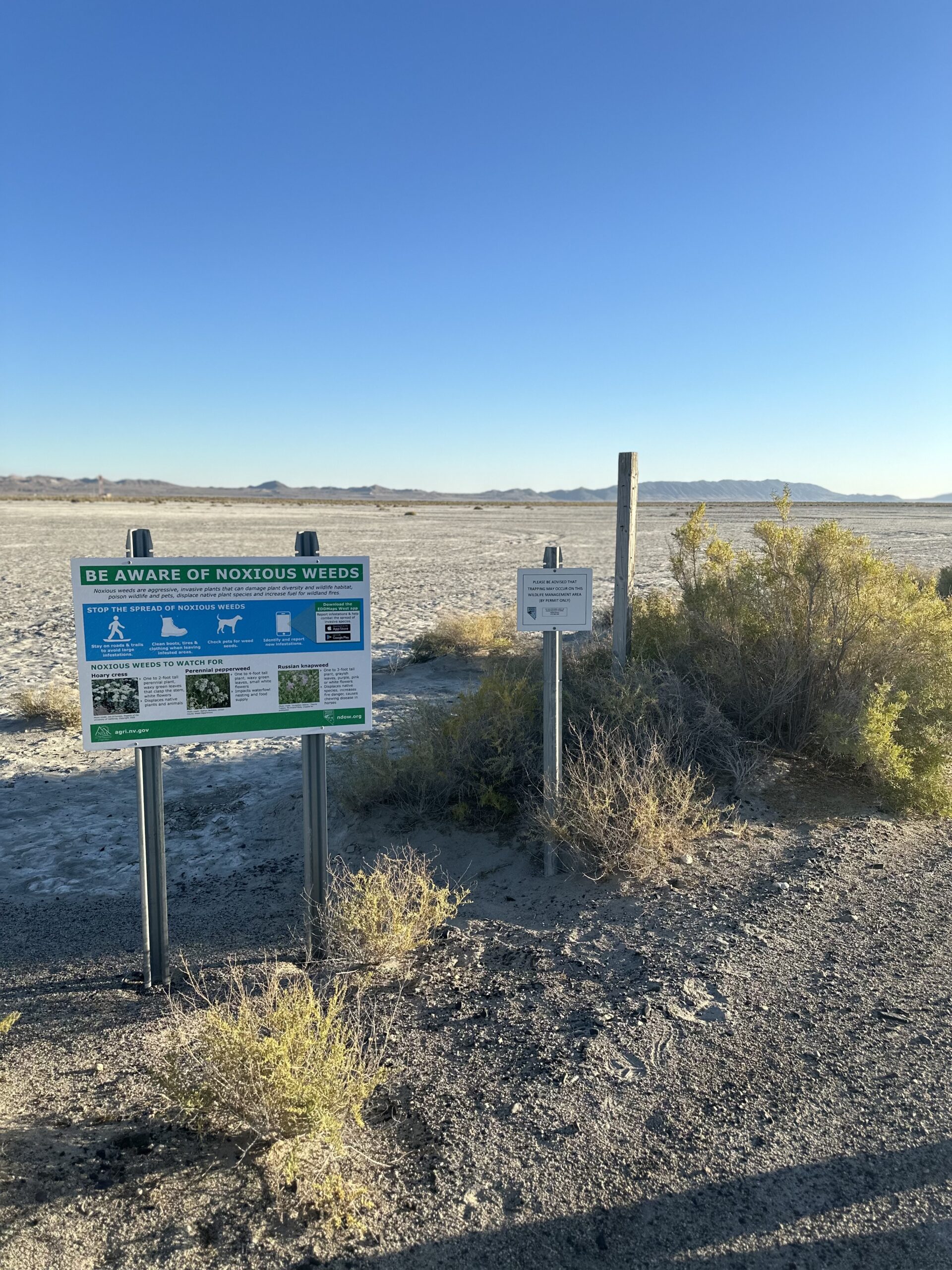 2024 - Nevada Day Treasure Hunt